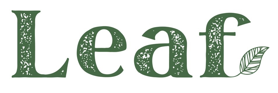 Leaf Courses: Explore Tomorrow | Best Summer Courses GuideBest Summer ...